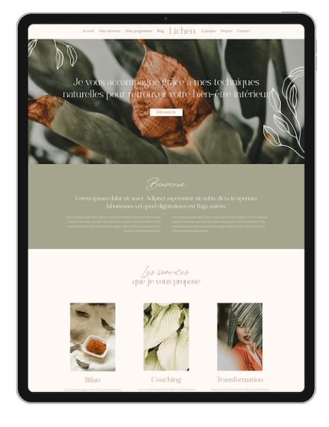 Thème Lichen | L'Atelier Aysaan